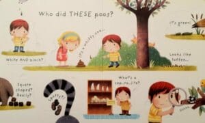 What is Poo? ( Usborne's Very first Questions & Answers ) Book Review
