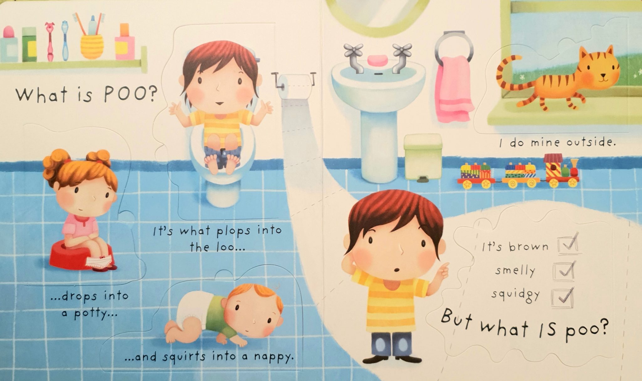 What is Poo? ( Usborne's Very first Questions & Answers ) Book Review