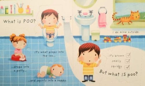 What is Poo? ( Usborne's Very first Questions & Answers ) Book Review