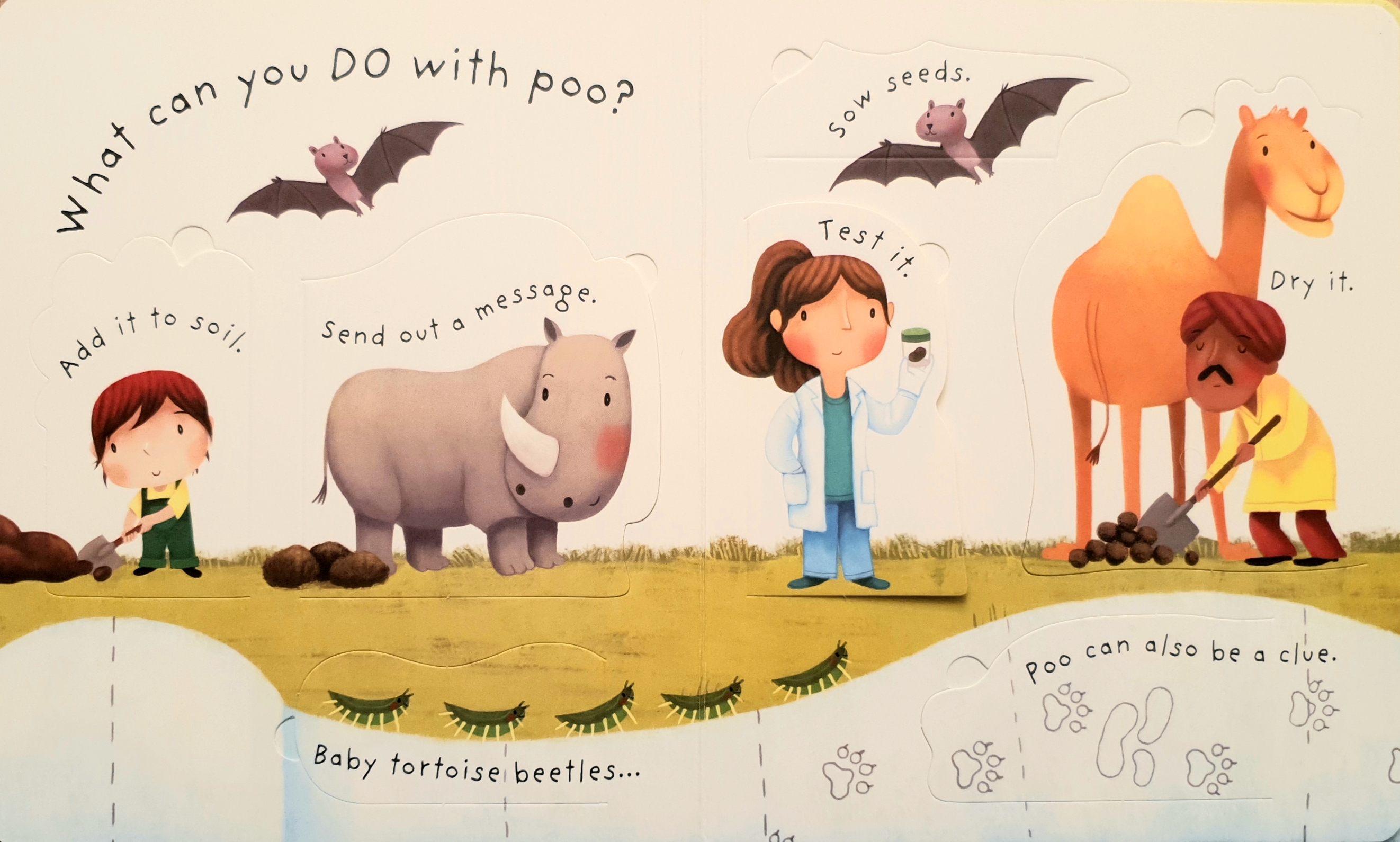 What is Poo? ( Usborne's Very first Questions & Answers ) Book Review