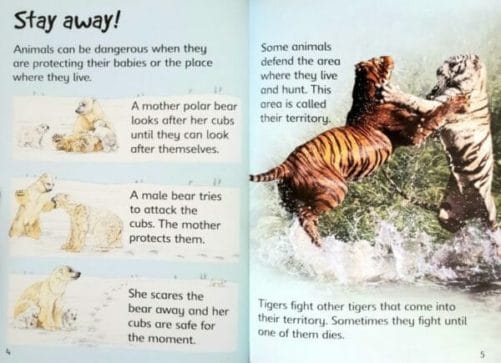 Dangerous Animals (Usborne Beginners) Hardcover | EducatorsDen.com