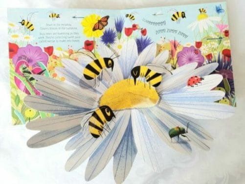 Pop-Up Nature (Hardcover Pop-Up Book) | EducatorsDen.com